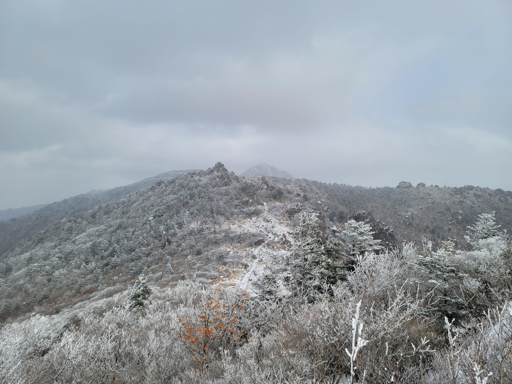 "설경 보자"…지리산국립공원, 16일 탐방로 전면 개방 | 연합뉴스