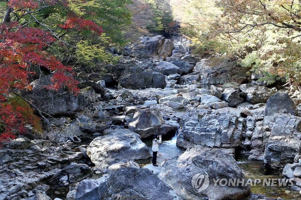 지리산 피아골의 가을 | 연합뉴스