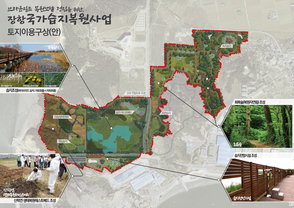 충남 장항 국가습지복원사업 정부 예비타당성조사 대상 선정 연합뉴스